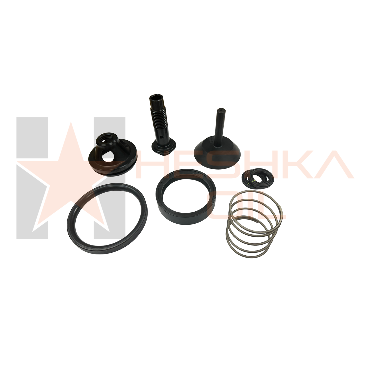 Major Repair Kit for the Cameron Type R Check Valve