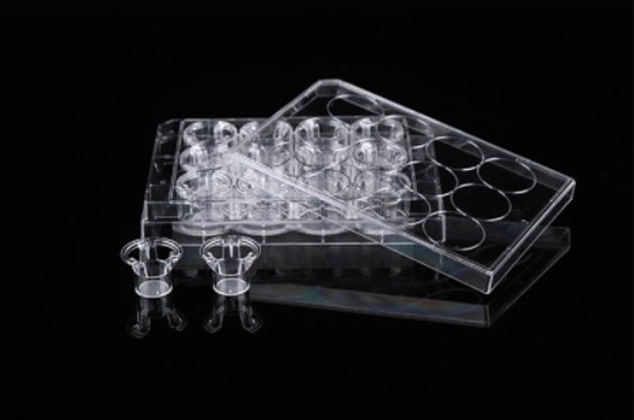 What are Transwells and Why Use Them? - Stellar Scientific