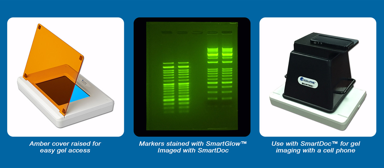 SmartGlow safe dye for DNA gels in a gel loading format ...