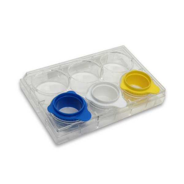 Stellar Scientific SWISH™ brand cell strainer with 70um membrane - The ...