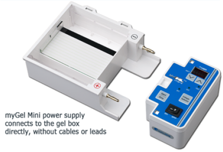 Accuris E1101 Electrophoresis myGel™ Mini DNA Gel System - Lab ...