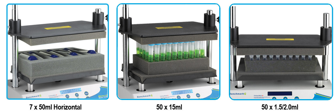 Benchmark Scientific BV1010-TST Sample Preparation Vortex Mixer - Lab ...