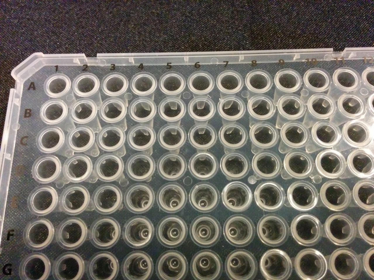 Stellar Scientific P96-104 96 Well Low-Profile FAST PCR Plate - Lab ...