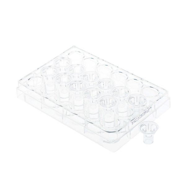CellTreat Permeable Cell Culture Inserts, Packed in 24 Well Plate ...