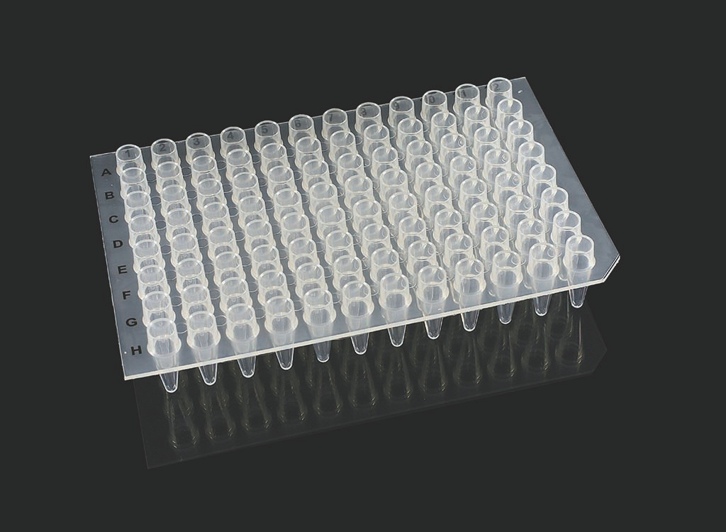 Stellar Scientific Non Skirted P96-105 PCR Assay Plate with Raised ...
