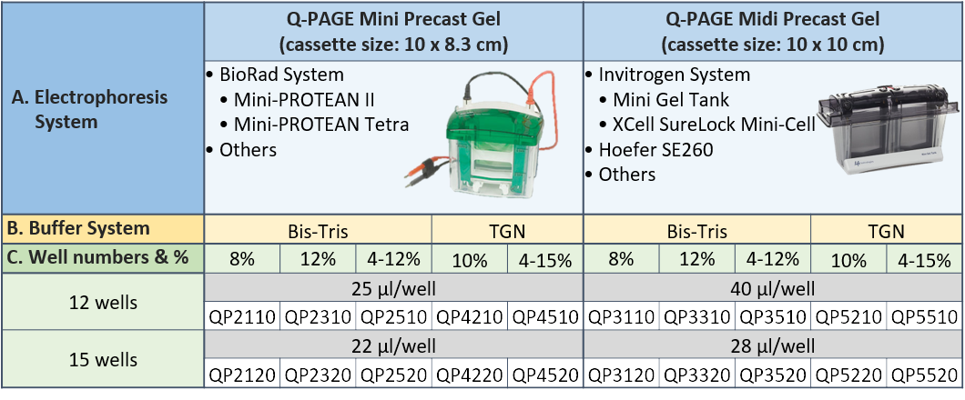 SMOBio Q-Page 4-15 percent 12 Well Mini Tris-Glycine Pre-Cast Gels for ...
