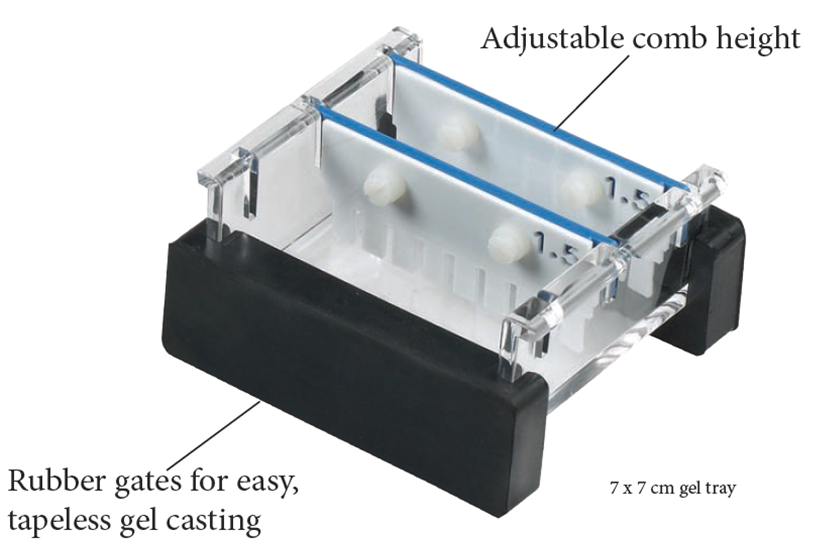 Labnet ENDURO™ E1007-7 7x7cm Horizontal DNA Gel Box - Lab Equipment ...