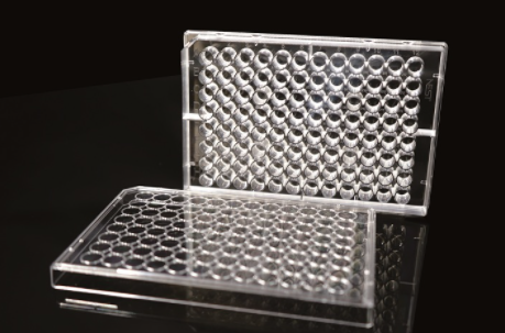 96 Well Polystyrene Non-Treated Assay Plate with U-Bottom, RNase and ...