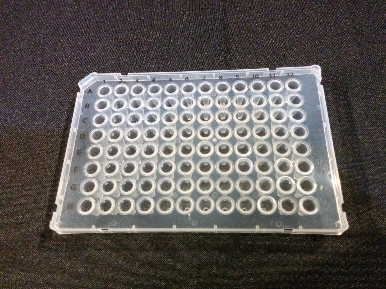 Stellar Scientific P96-10BC 96 Well Low-Profile Fast PCR Plate With ...
