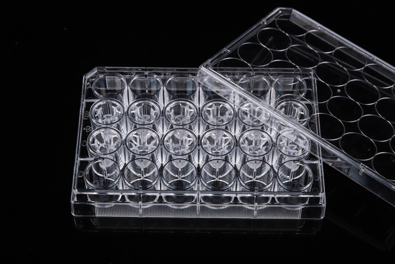 Nest Scientific Permeable Cell Culture Inserts, Packed in 24 Well Plate ...