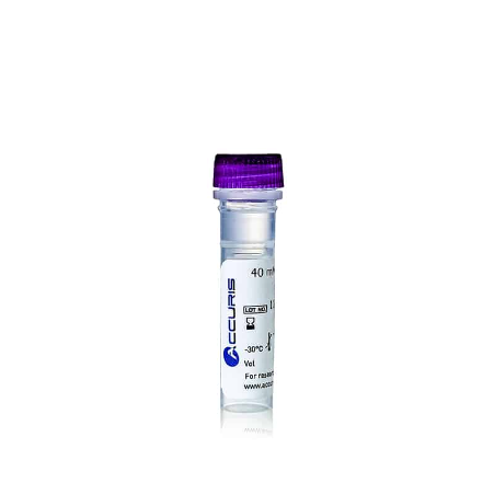 Bulk Individual dCTP (100mM) Per 1mL- PCR Reagents - Stellar Scientific