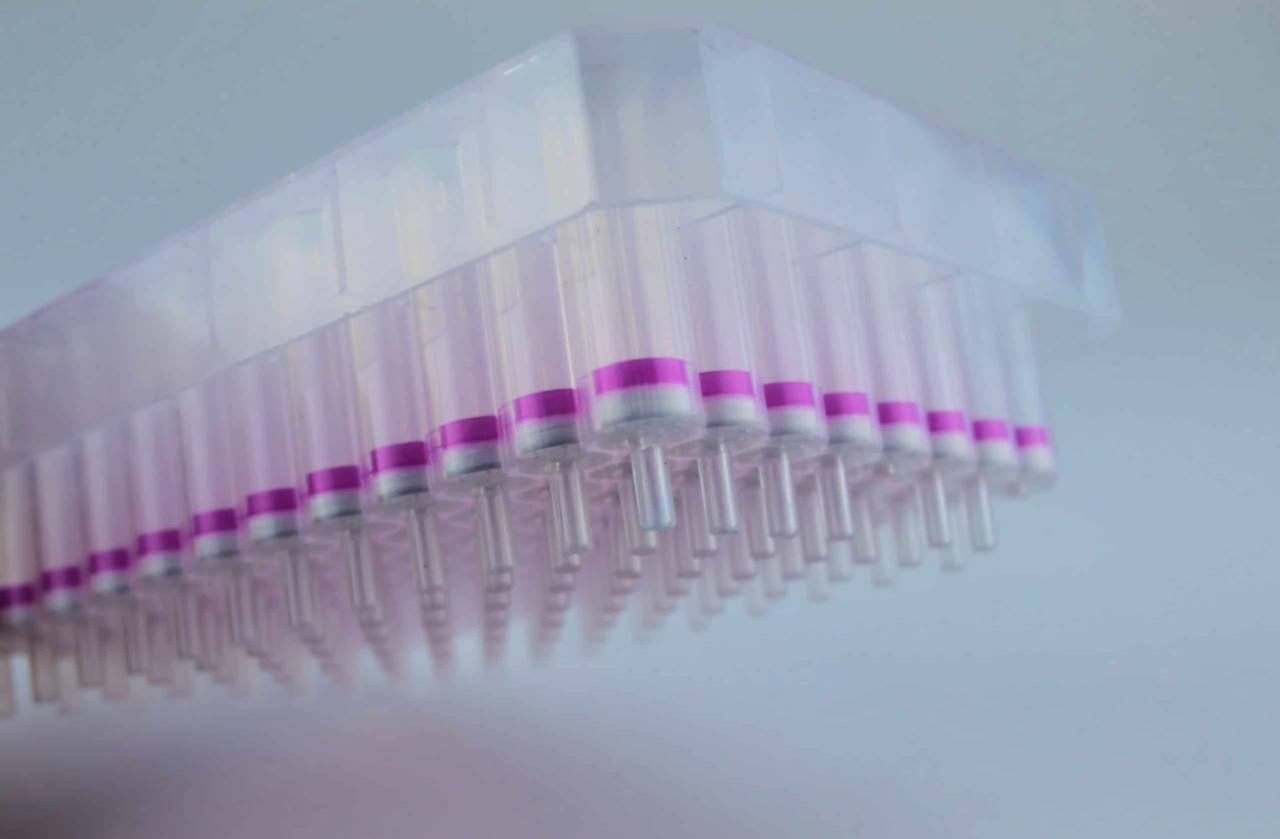 DNA Plasmid ezFilter Mini Kit 96-Well, 20 x 96 Preps