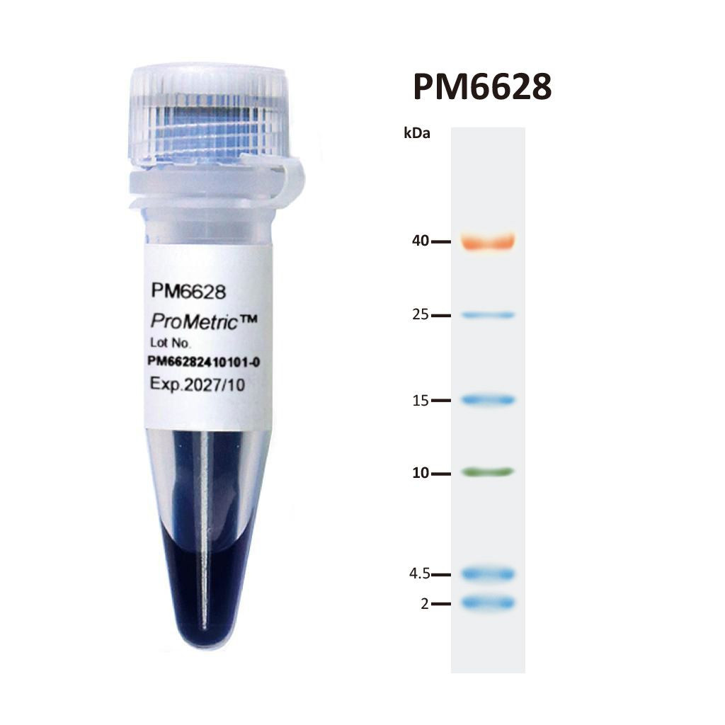 ProMetric™ TriColor Low Range Protein Ladder, 2 to 40 kDa, 250μl - Lab ...