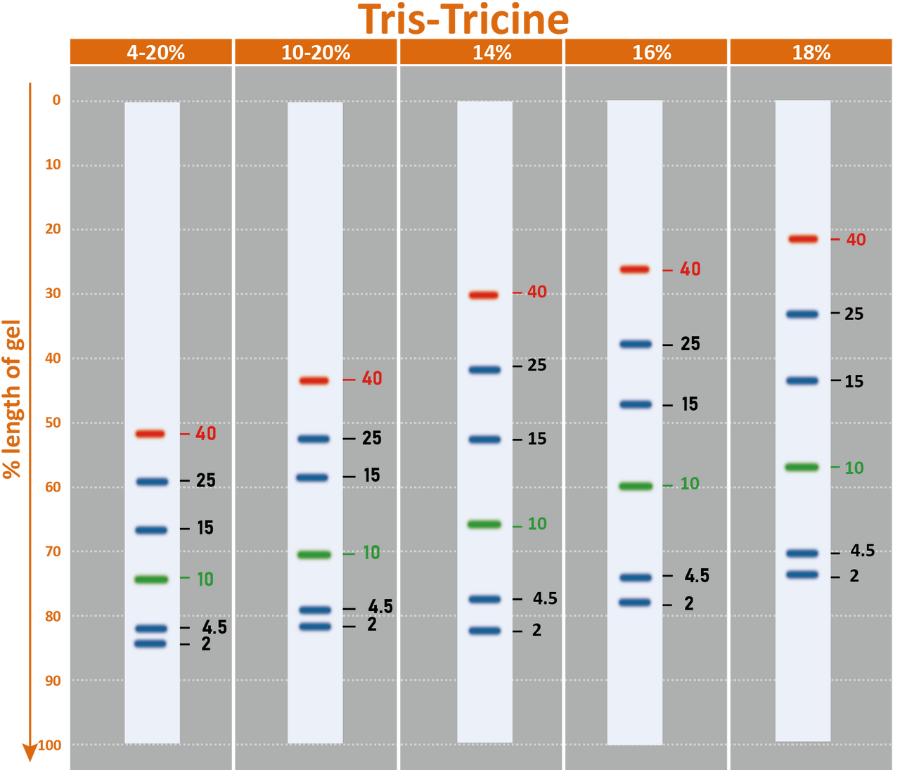 ProMetric™ TriColor Low Range Protein Ladder, 2 to 40 kDa, 250μl - Lab ...