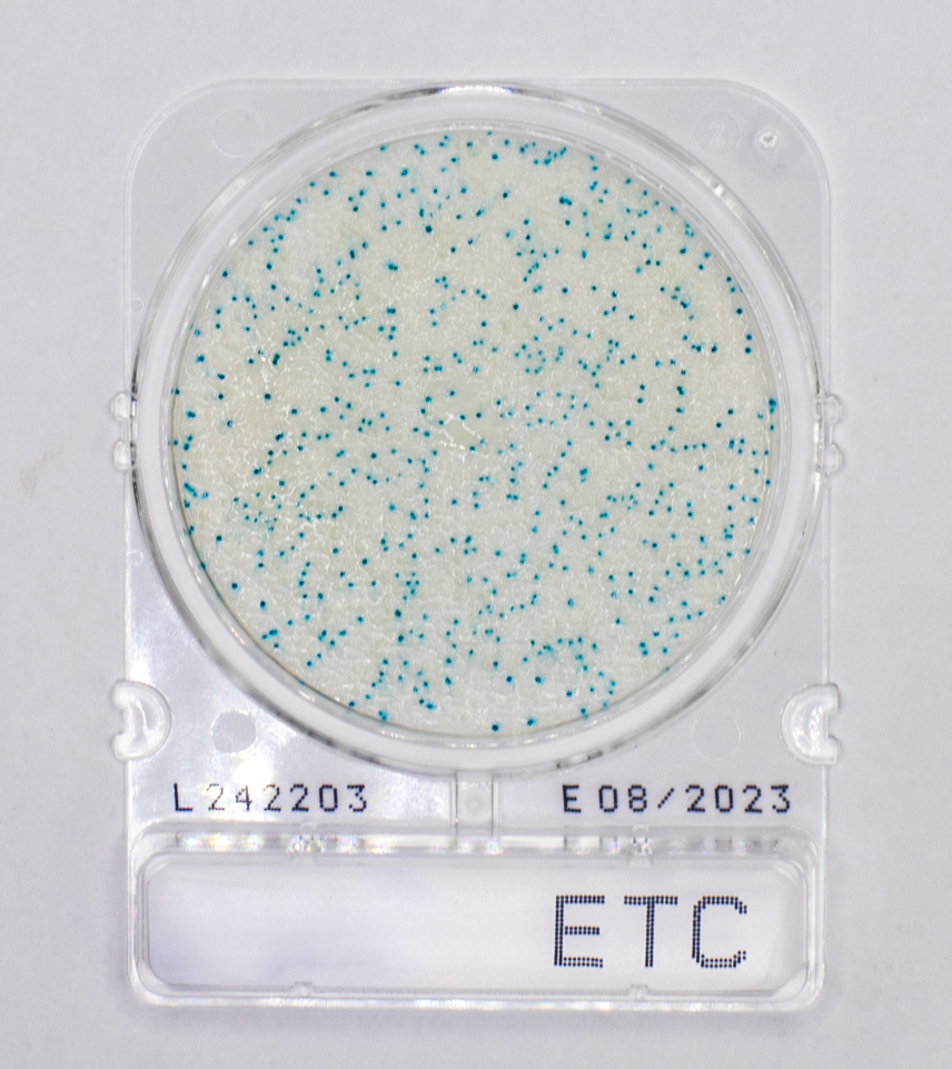 Compact Dry™ ETC Ready to Use Medium For Enterococcus Species Testing ...