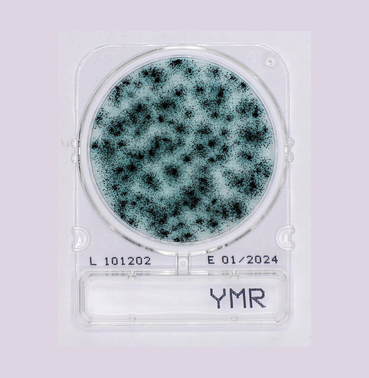 Compact Dry™ YM Ready to Use Medium For Yeast and Mold Testing, With ...