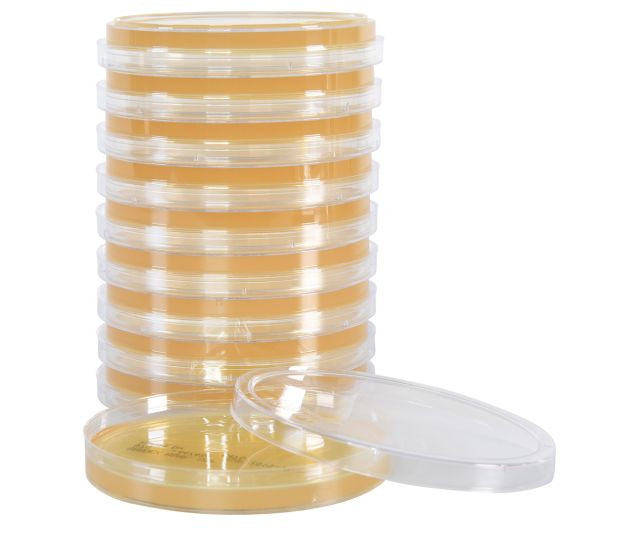 Hardy Diagnostics Sabouraud Dextrose Agar (SabDex), USP w70 - Preplated ...