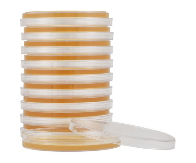Hardy Diagnostics Mycoplasma Agar, Without Plate Label, 15 x 100mm Plates