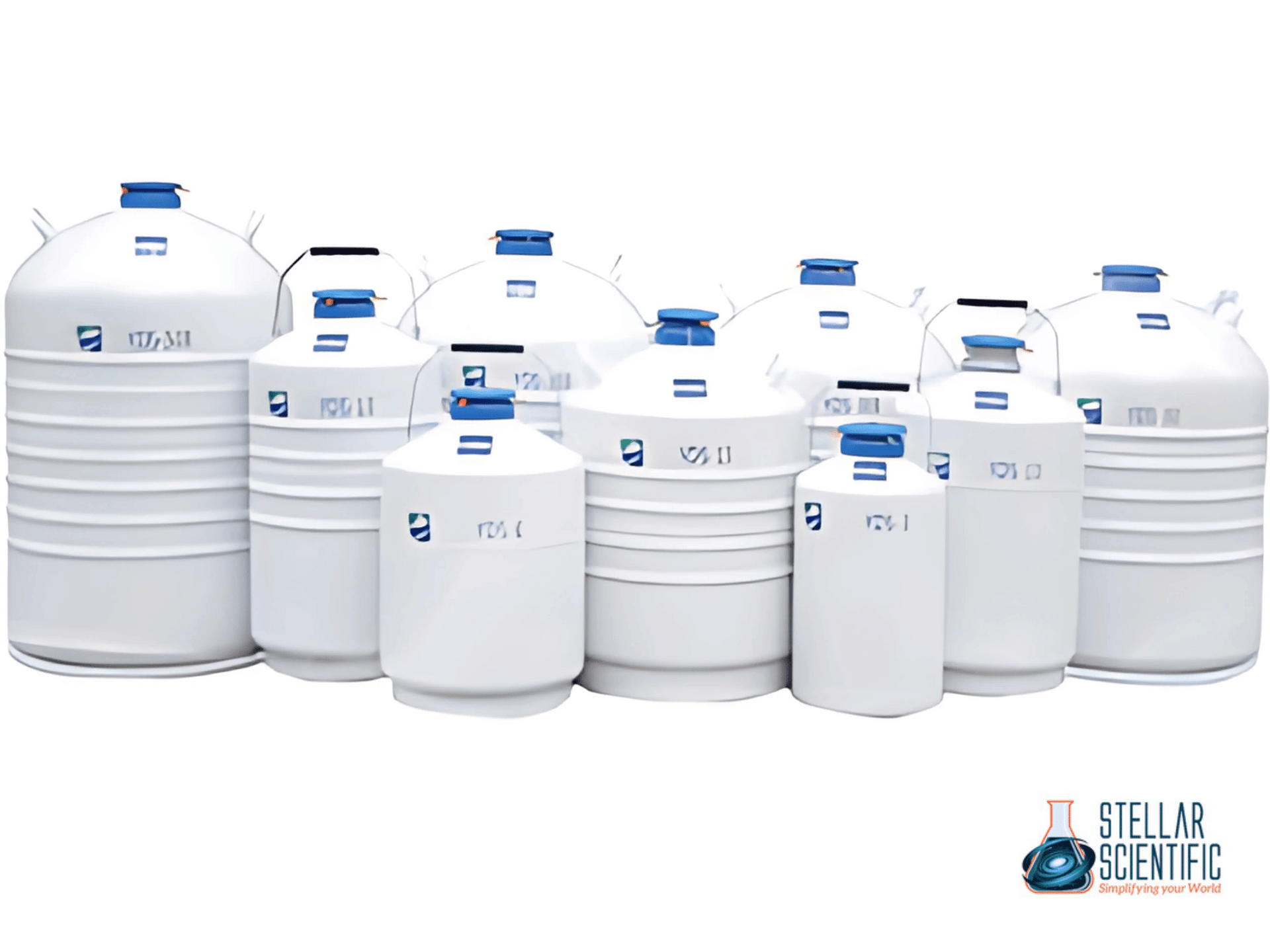 From Labs to Clinics: The Critical Role of Liquid Nitrogen Storage in ...