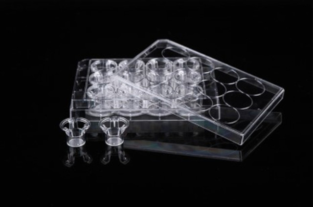 What are Transwells and Why Use Them? - Stellar Scientific