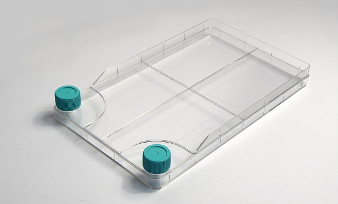 Scaling Up Cell Culture - Stellar Scientific