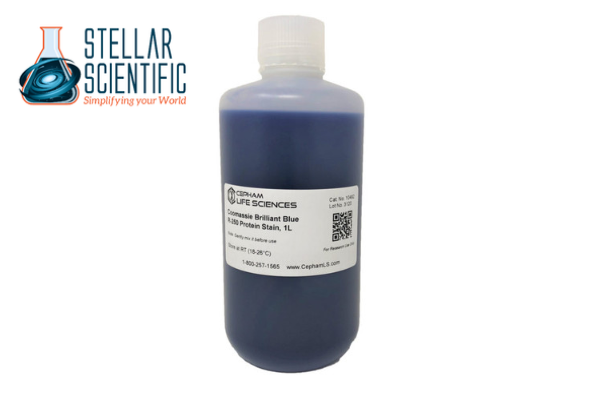 Protein Detection Made Simple with Coomassie Blue - Stellar Scientific