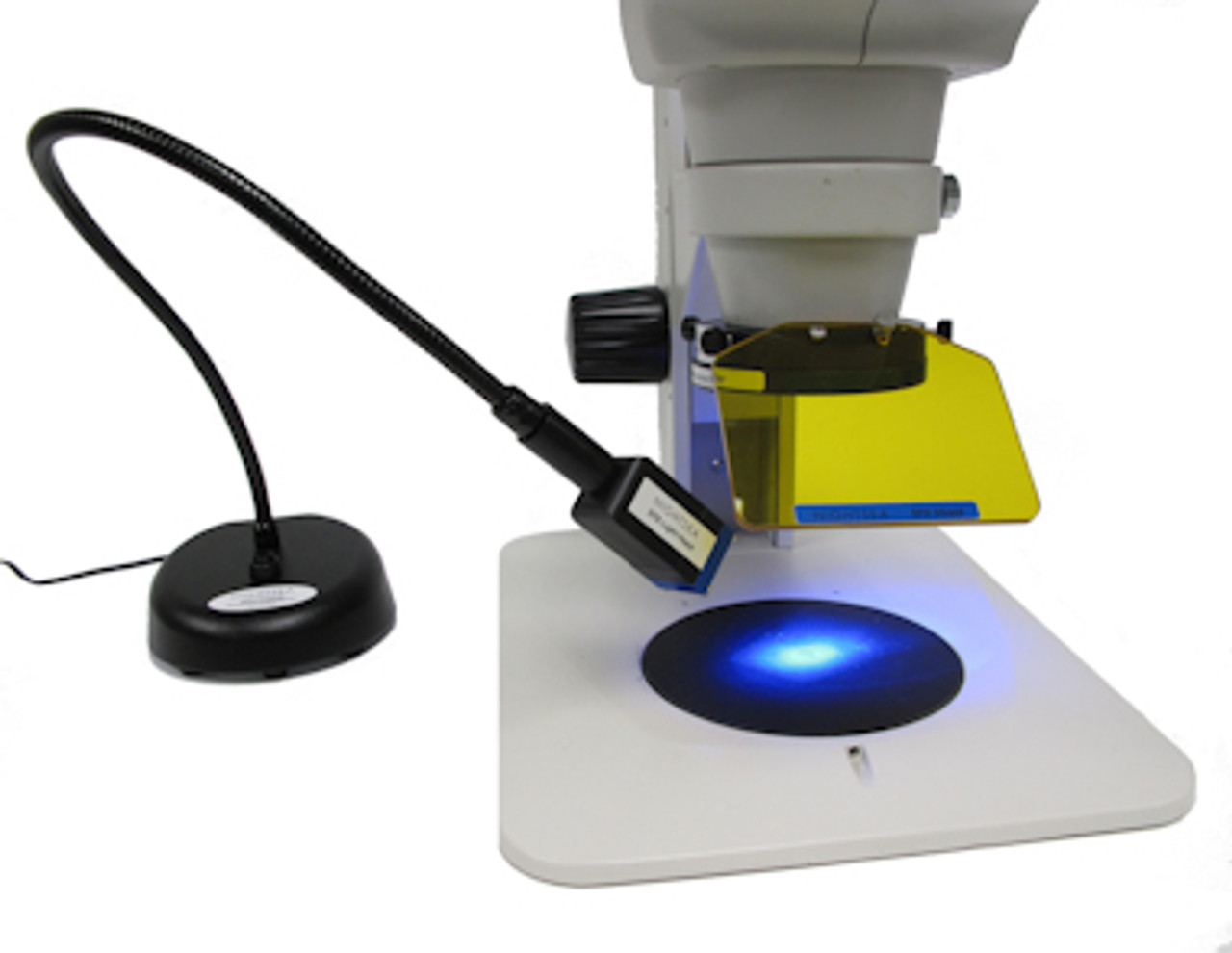 How to Use a Dissecting Microscope - Stellar Scientific