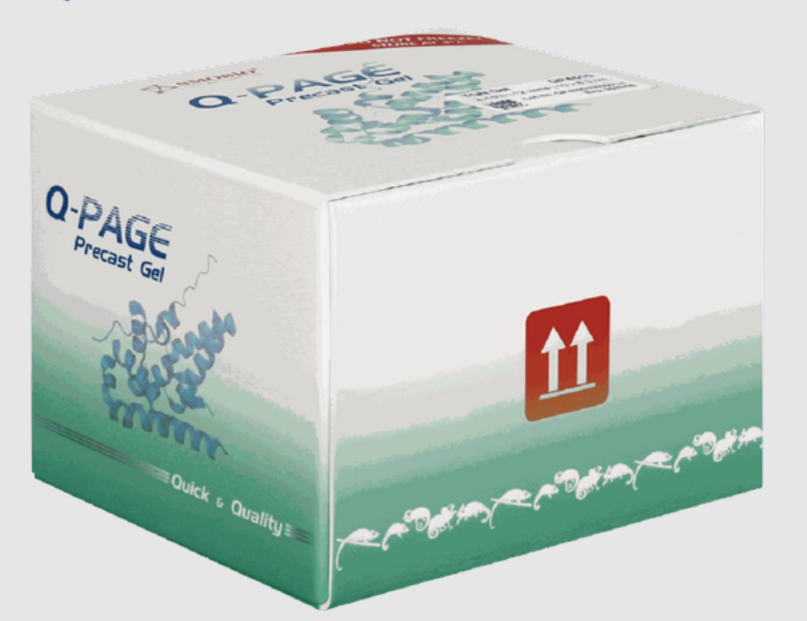 Pour Your Own or Buy Precast Polyacrylamide Gels for Electrophoresis ...