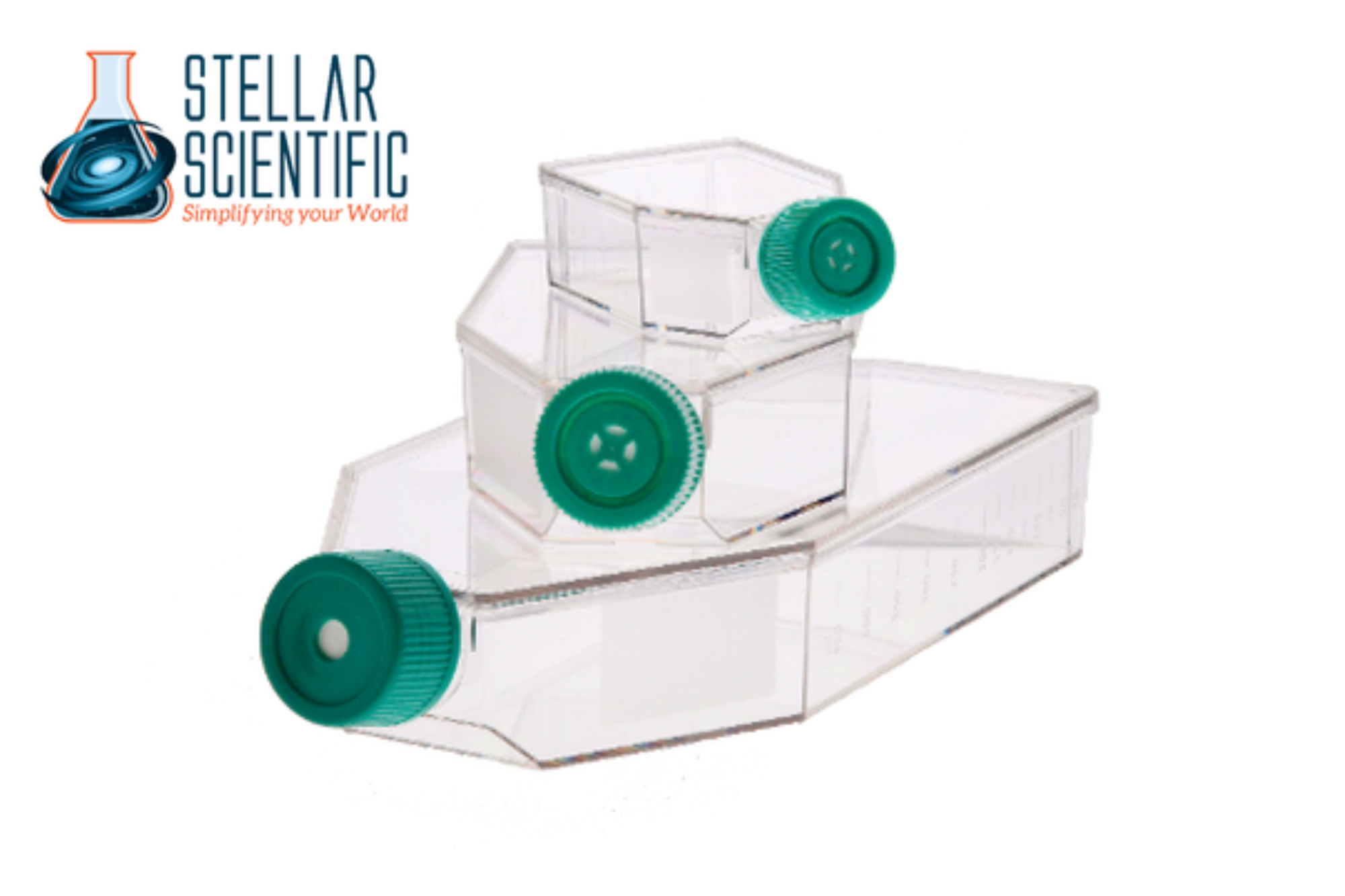 Exploring the Future of Research: How Tissue Culture Products by ...