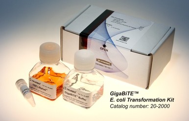 SMOBio GigaBiTE E. Coli Transformation Kit - Fast and affordable ...