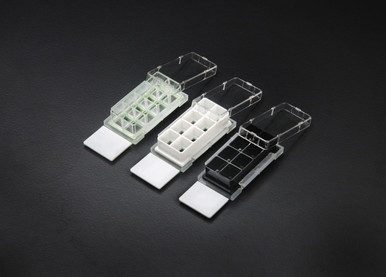 NEST Scientific 8-Well Cell Culture Chamber Slide, WHITE Walls on Glass ...