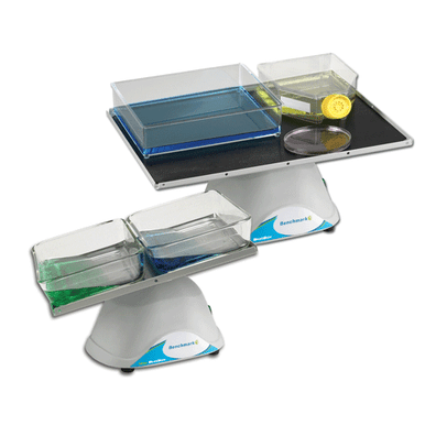 Benchmark Scientific B3D1308 Blot Boy™ Fixed Speed 3D Laboratory ...