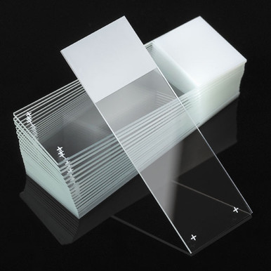 Glass Microscope Slides with Positive Charge - Histology and Pathology ...