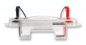 Labnet ENDURO™ 7x10cm Horizontal DNA Gel Box - Lab Equipment - Stellar ...