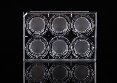 Nest Scientific Permeable Cell Culture Inserts, Packed in 6 Well Plate ...