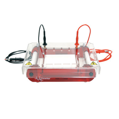 Submarine Horizontal Gel Box For Running Mini Nucleic Acid Gels (10 x ...
