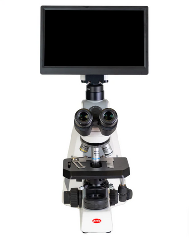 Motic Panthera C2 Trinocular Upright Microscope 50:50, With BMH4000X ...