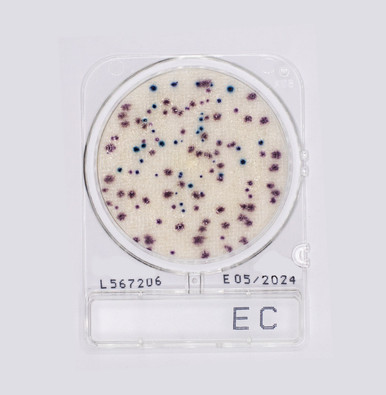 Compact Dry™ EC Ready to Use Medium For Coliform and Escherichia coli ...