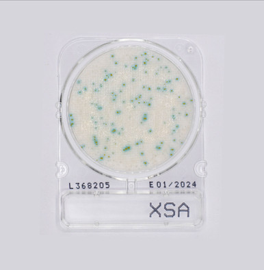 Compact Dry™ XSA Ready to Use Medium For Staphylococcus aureus Testing ...