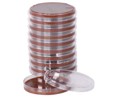 Hardy Diagnostics Chocolate Agar, (GC Agar Base with 1% Bovine ...