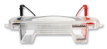 Labnet ENDURO™ 20x20cm Horizontal Gel Box with Two Casting Dams - Lab ...