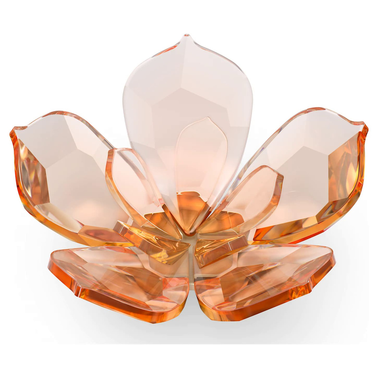 Swarovski Garden Tales: Magnet Magnolia Large Decoration Brooch, Orange ...
