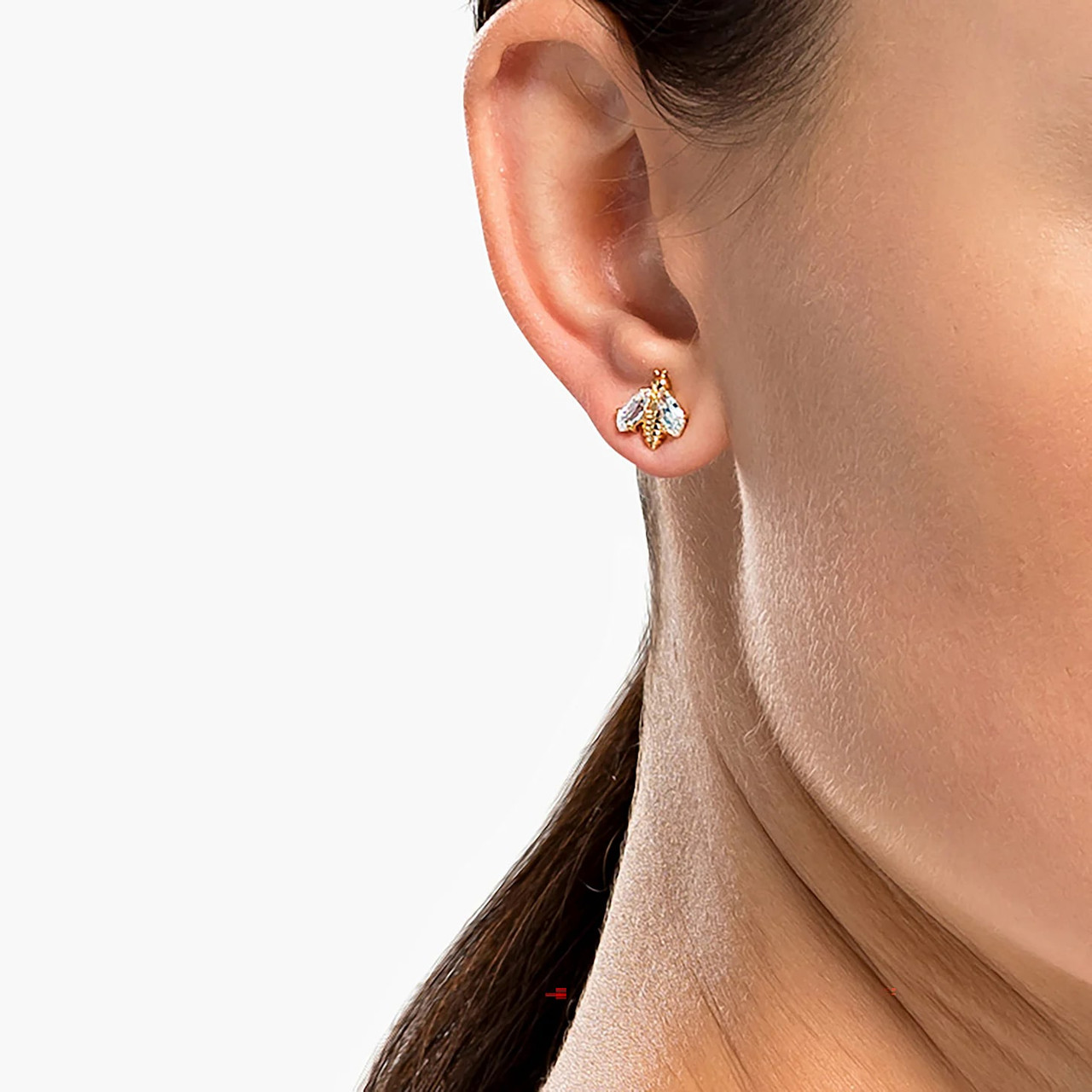 Swarovski bee earrings store