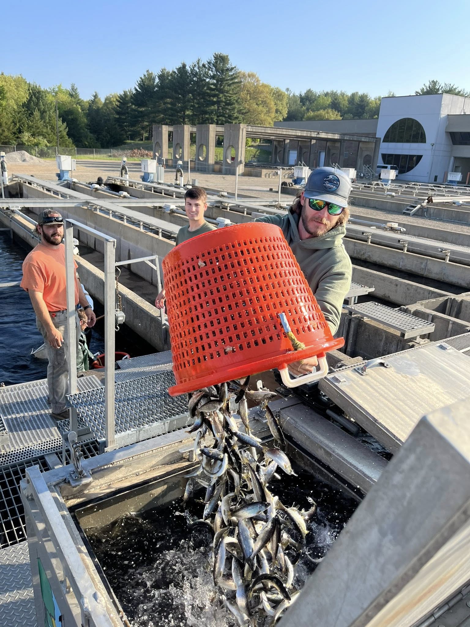Preserving the Wild: How Salmon Stocking at Jake Wolf Memorial Fish ...