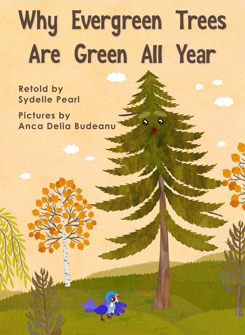 Why Evergreen Trees Are Green All Year - Level I/16 - RR Books