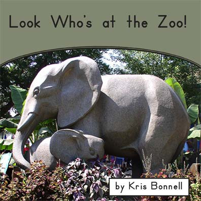 Look Who's at the Zoo - Level C/3 - RR Books