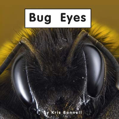 Bug Eyes - Level C/4 - RR Books