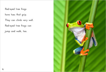 Red-eyed Tree Frogs - Level H/13 - RR Books