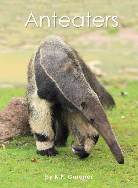 Anteaters - Level H/14 - RR Books