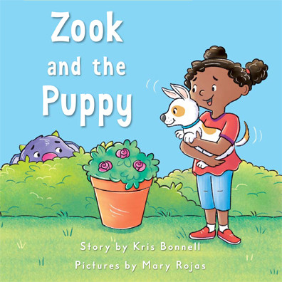 Zook and the Puppy - Level C/4 - RR Books